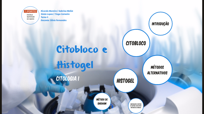 Citobloco e Histogel by Sónia Lopes on Prezi