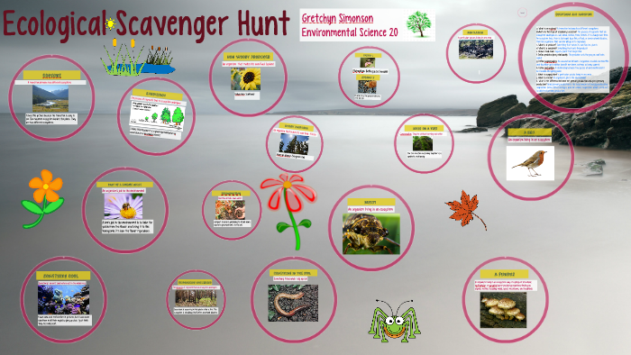 Ecological Scavenger Hunt by Gretchyn Simonson on Prezi