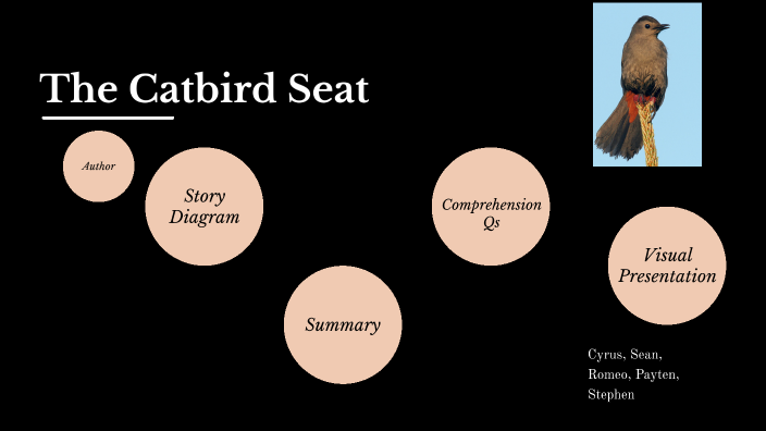 The catbird seat by toiletflicker on Prezi