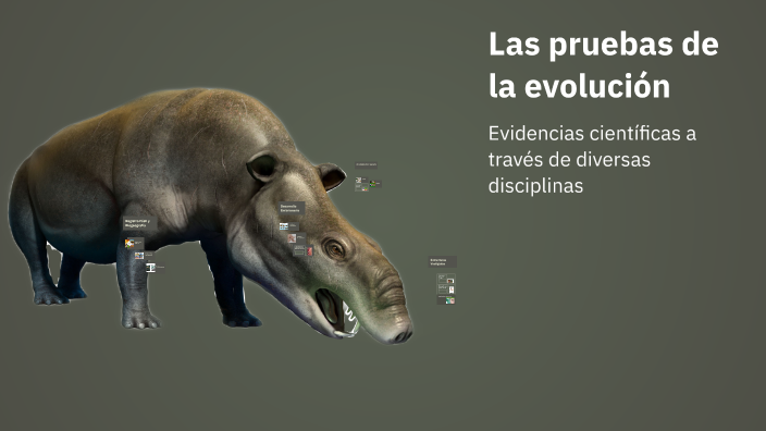 Las pruebas de la evolución by paula maya on Prezi