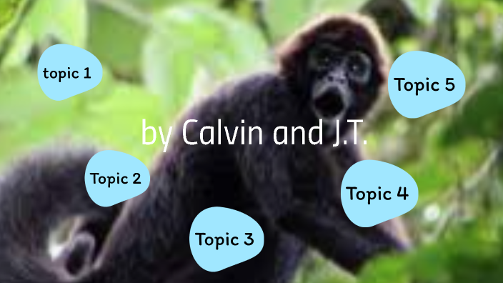 Calvin and JT spider monkey by Student John Szpunar on Prezi