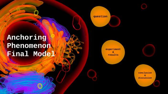 Anchoring Phenomenon - Final Model by Elijah Boyd-Rothman on Prezi