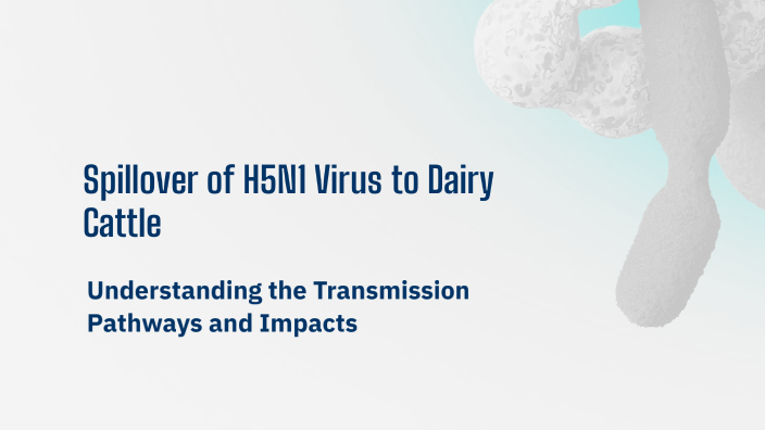 Spillover of Highly Pathogenic Avian Influenza H5N1 Virus by Tune Beats ...