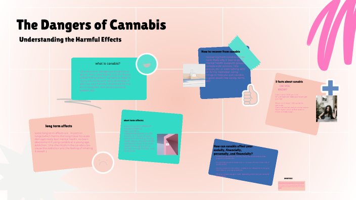 The Dangers of Cannabis by FG - 06PM 870843 Ruth Thompson MS on Prezi