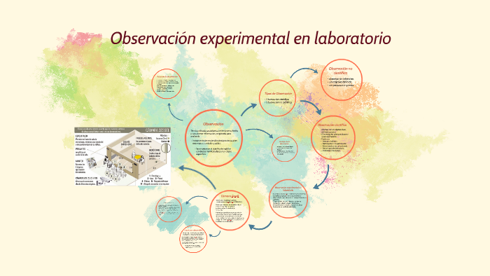 Observación experimental en laboratorio by Micaela Albónico on Prezi