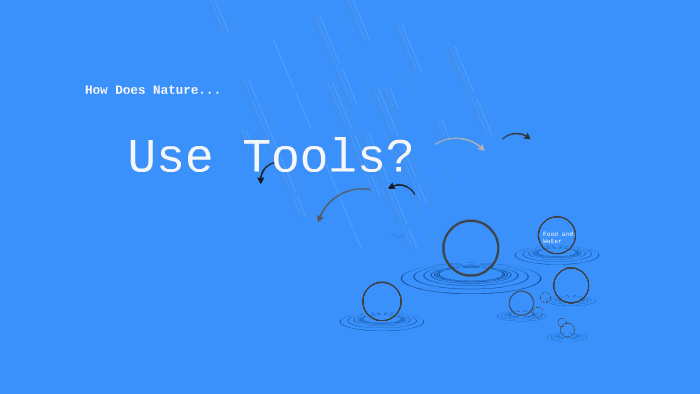 How Does Nature... by A T on Prezi