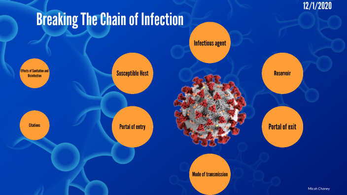 chain of infection by Micah Chaney on Prezi