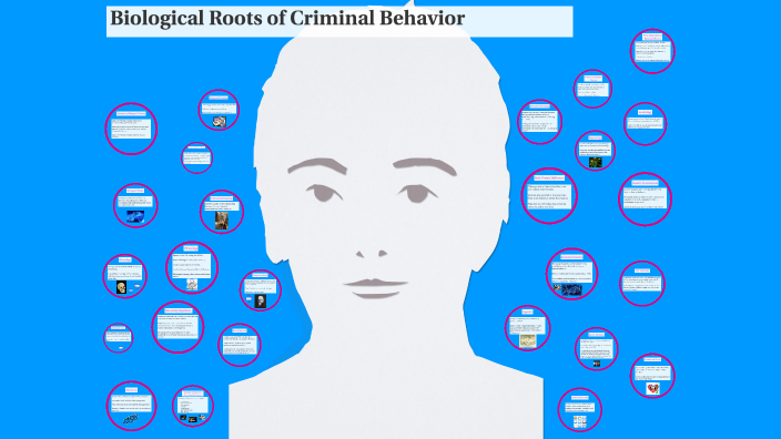 Biological Roots of Criminal Behavior by Brad Bowen on Prezi