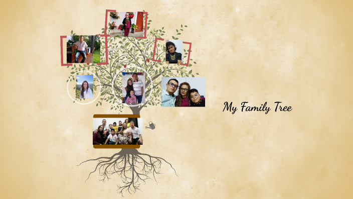 My Family Tree by luisa cardenas on Prezi