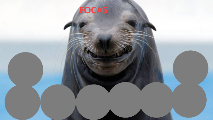 FOCAS by Tiago Novais on Prezi