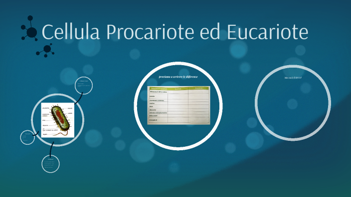 Cellula Procariote ed Eucariote by Marco Fossati on Prezi