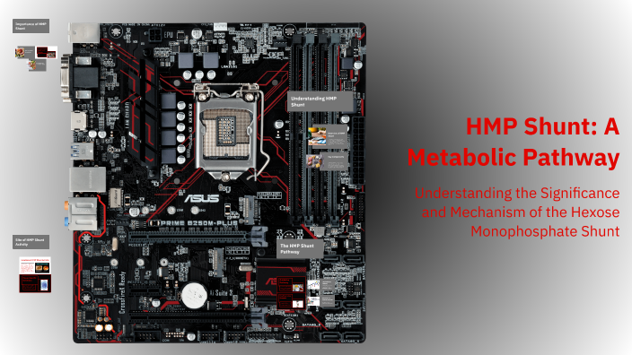 HMP Shunt: A Metabolic Pathway by Shimaa Saad on Prezi