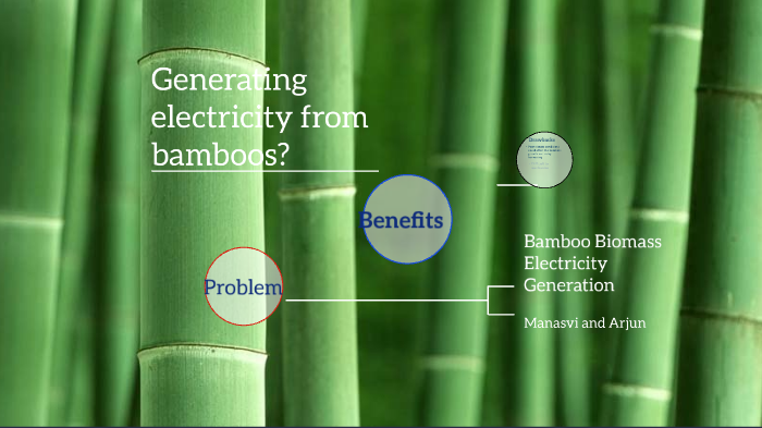 Bamboo Biomass Electricity Generation by Arjun Shirgaokar on Prezi