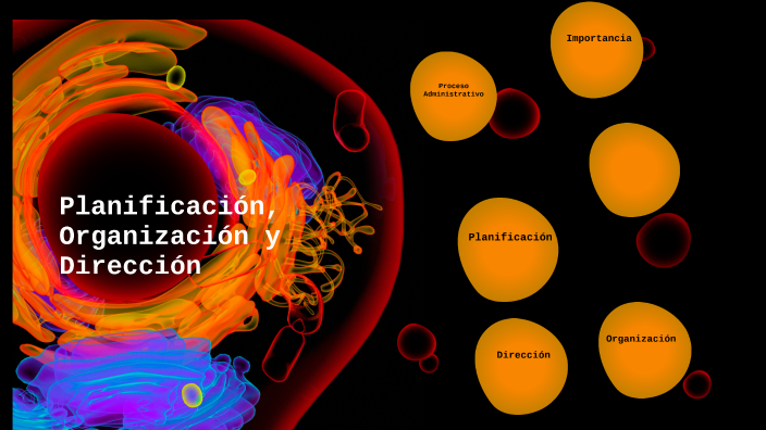 Planificación, Organización y Dirección by Juan Carlos Torin Rodriguez ...