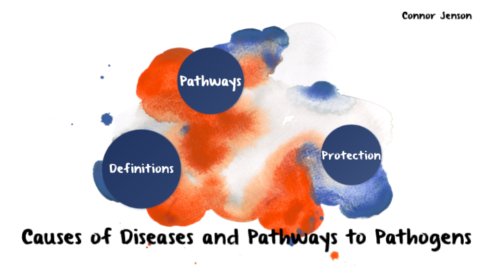 Causes of Diseases and Pathways to Pathogens by Connor Jenson on Prezi