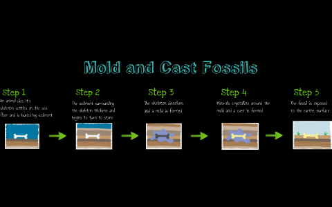 Mold and Cast Fossils by Keyarra Stewart on Prezi