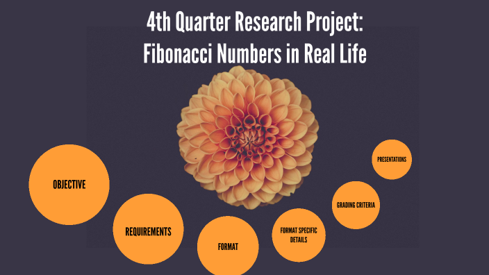 4th Quarter Research Project: Fibonacci Numbers in Real Life by Naomi ...