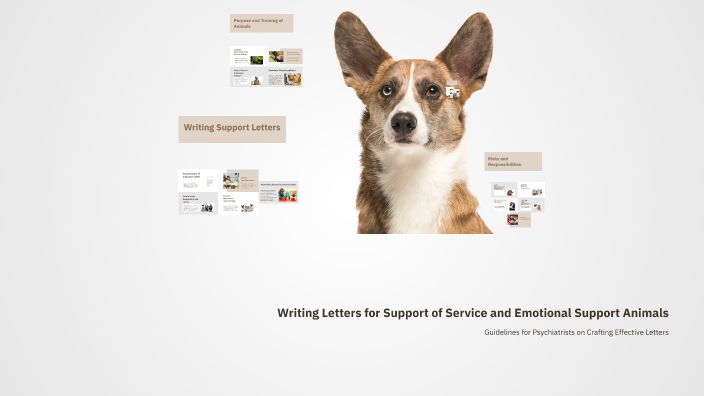 Writing Letters for Support of Service and Emotional Support Animals by ...