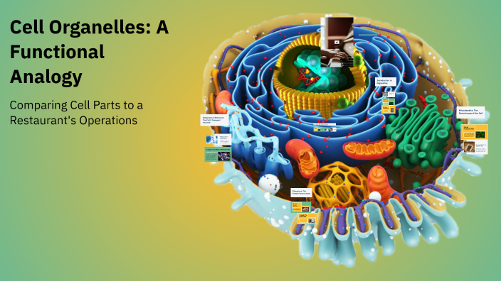 Cell Organelles: A Functional Analogy by sam on Prezi