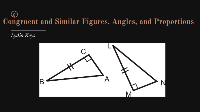 Congruent and Similar Figures, Angles, and Proportions by Lydia Keys on ...