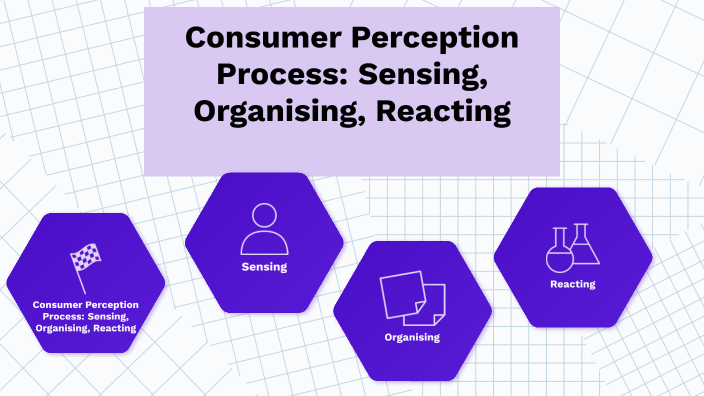 Consumer Perception Process: Sensing, Organising, Reacting by Simon Lyu ...
