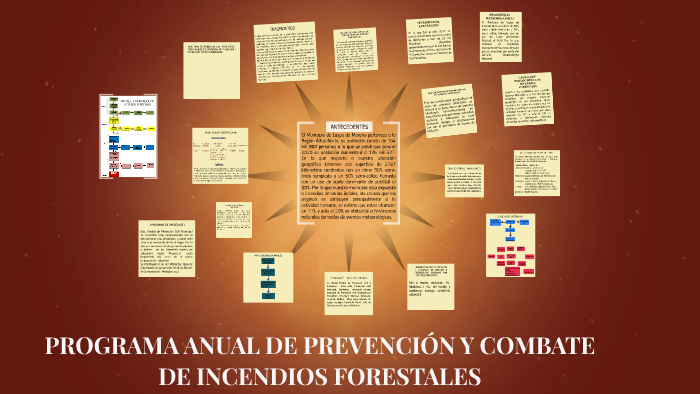PROGRAMA ANUAL DE PREVENCIÓN Y COMBATE DE INCENDIOS FORESTAL by adry ...
