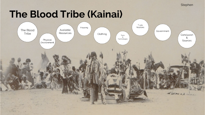 The Blood (Kainai) by Stephen Sheward on Prezi