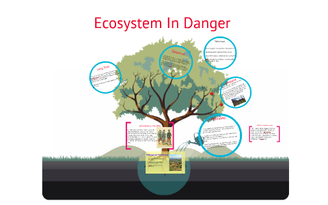 Ecosystem In Danger by Dana Kim on Prezi
