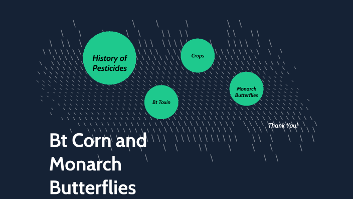 Bt Corn and Risks to Monarch Butterflies by Noah Santos on Prezi