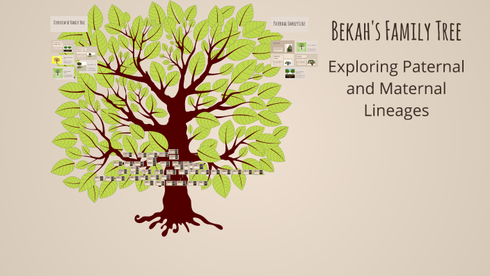 Bekah's Family Tree by Bekah Forshey on Prezi