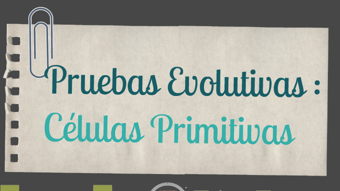 Celulas Primitivas by Paula Araneda Castiglioni on Prezi