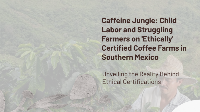 Caffeine Jungle: Child Labor and Struggling Farmers on 'Ethically ...