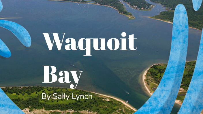 Waquoit Bay by SEAN LYNCH on Prezi