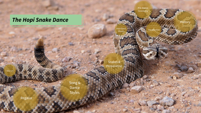 Snake Dance by Kate Staddon on Prezi