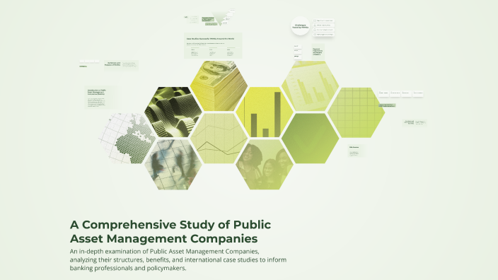 A Comprehensive Study of Public Asset Management Companies by biz ...