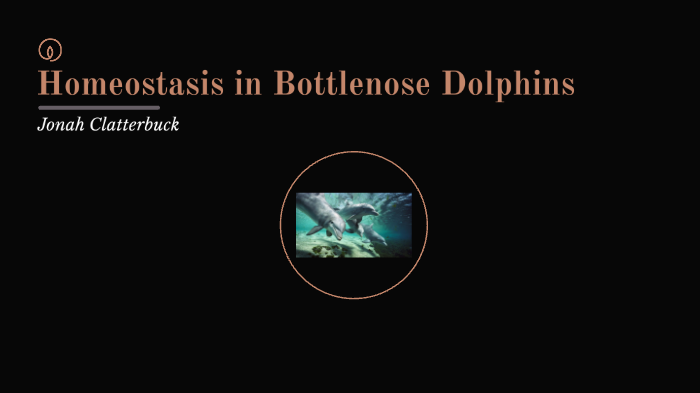 Homeostasis Project by Jonah Clatterbuck on Prezi