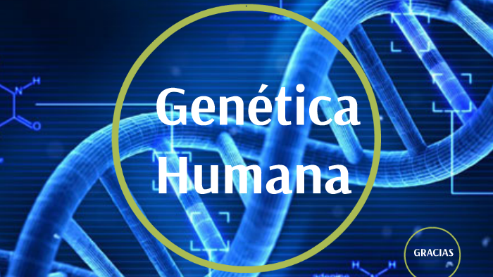 ¿ QUE ES UN GENOMA HUMANO? by Yonkany Castañeda on Prezi