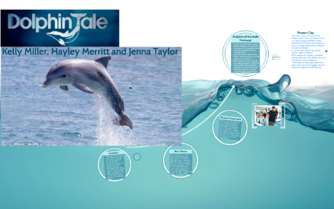 Dolphin Tale by Kelly Miller on Prezi