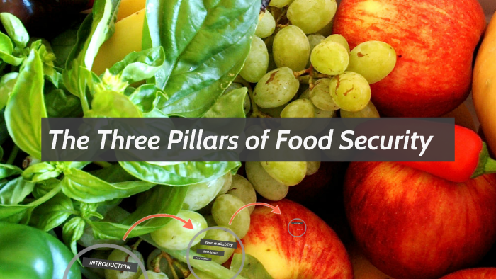 The Three Pillars of Food Security by Saif Alhatmi on Prezi