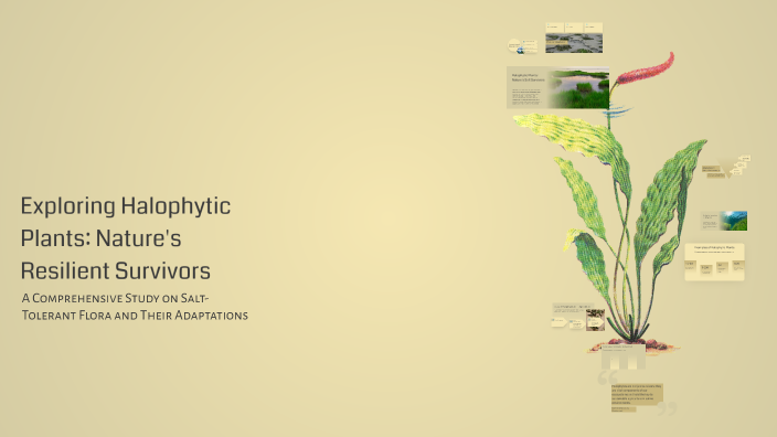 Exploring Halophytic Plants: Nature's Resilient Survivors by Yousif ...