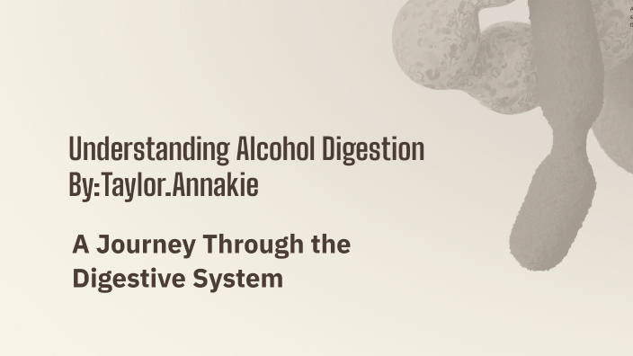 Understanding Alcohol Digestion by Taylor Annakie on Prezi