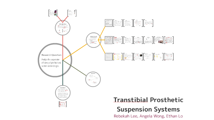 Transtibial Prosthetic Suspension Systems by Rebekah Lee on Prezi