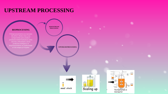 Upstream processing by Sofia Tolosa on Prezi