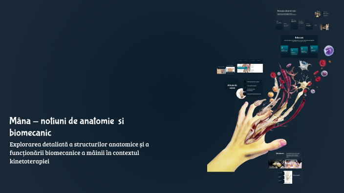 Mâna - noțiuni de anatomie și biomecanică by Sabina Stirbu on Prezi
