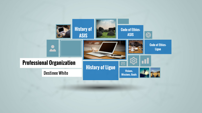 Professional Organization by destinee white on Prezi