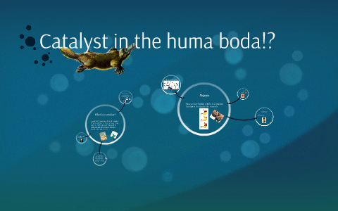 Catalyst in the Human Body by sam james on Prezi