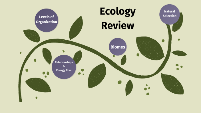 Ecology Concept Map by Hannah Saucier on Prezi