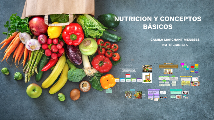 CONCEPTOS BASICOS DE LA NUTRICION by Camila Meneses on Prezi