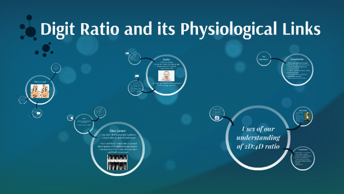 Finger Length and Testosterone Levels by Laura Mackey on Prezi