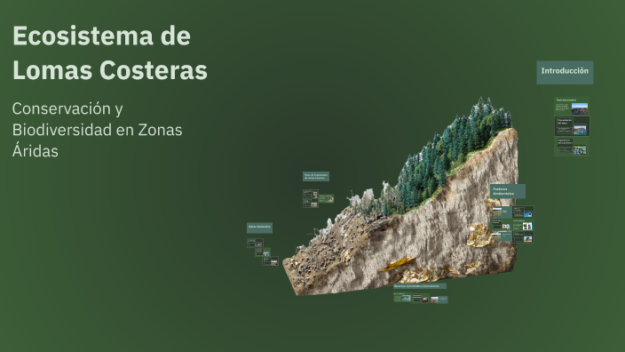 Ecosistema de Lomas Costeras by Fabrizio Pisfil Castillo on Prezi
